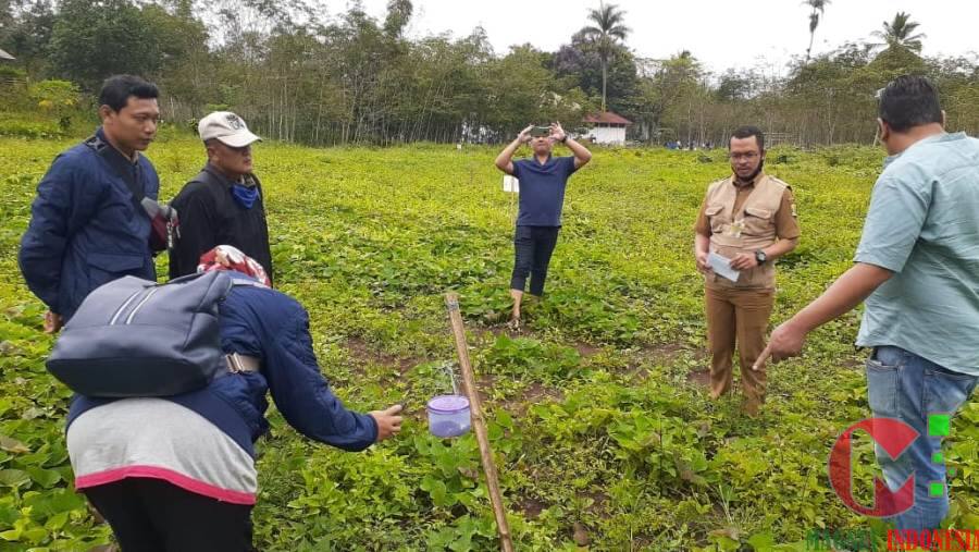 Dinas Pertanian Maksimalkan Diversifikasi Komoditas Sektor Perkebunan ...