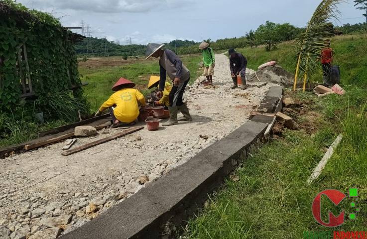 Dinas Pertanian Kabupaten Sukabumi Cek Jalan Usaha Tani di Lokasi ...